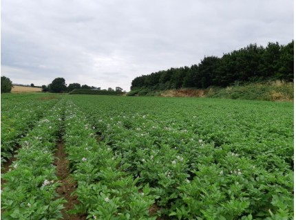 LES JARDINS DU BOIS JOLY - Toutes les structures | Direccte